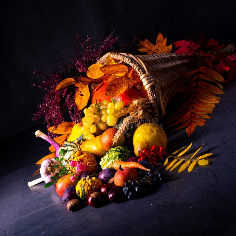 Beautiful and Autumnal Cornucopia Stock Photo - Image of design, nature ...