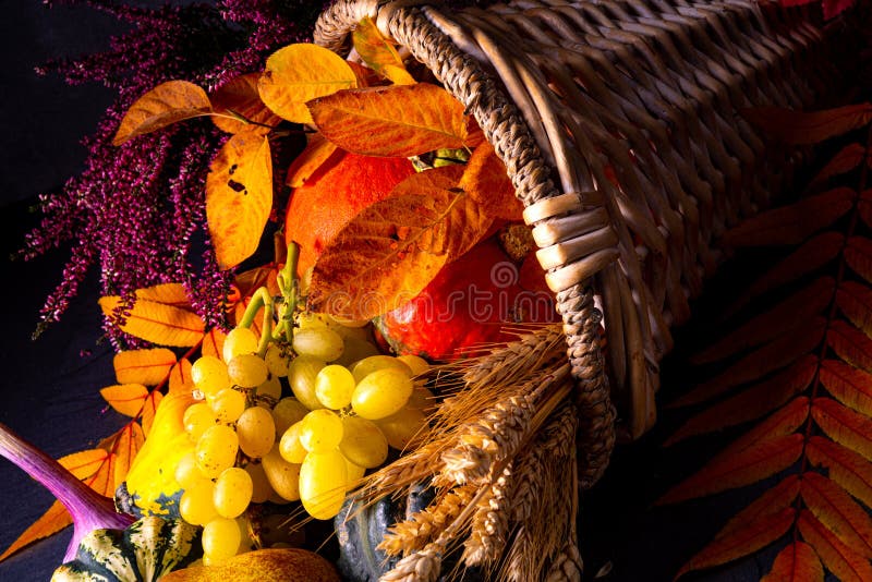 Beautiful and Autumnal Cornucopia Stock Photo - Image of brown, harvest ...