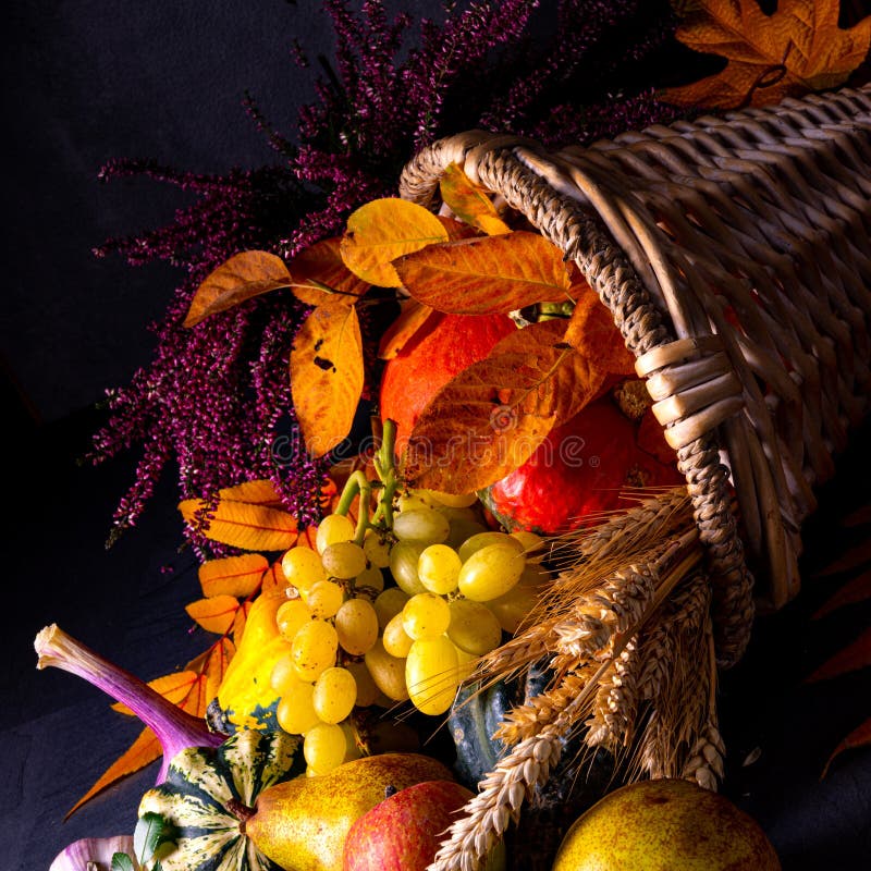 A Beautiful and Autumnal Cornucopia Stock Photo - Image of healthy ...
