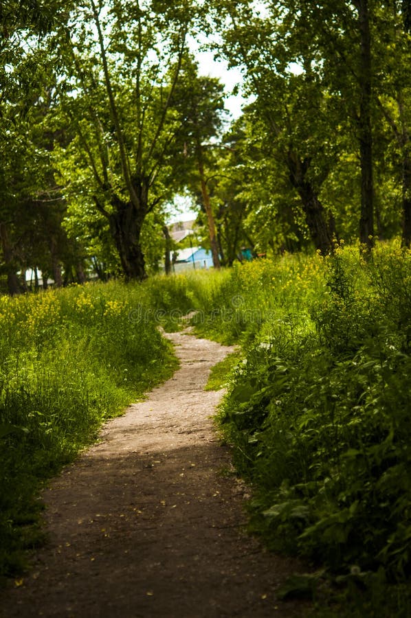 Beautiful Avenue in To the Park, Path Way Stock Image - Image of spring ...
