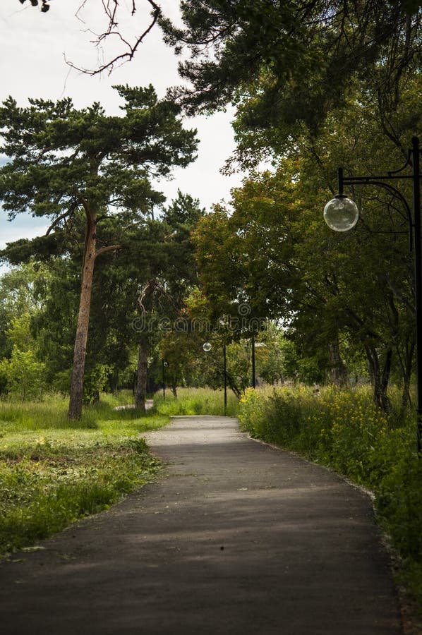 Beautiful Avenue in To the Park, Path Way Stock Photo - Image of trees ...
