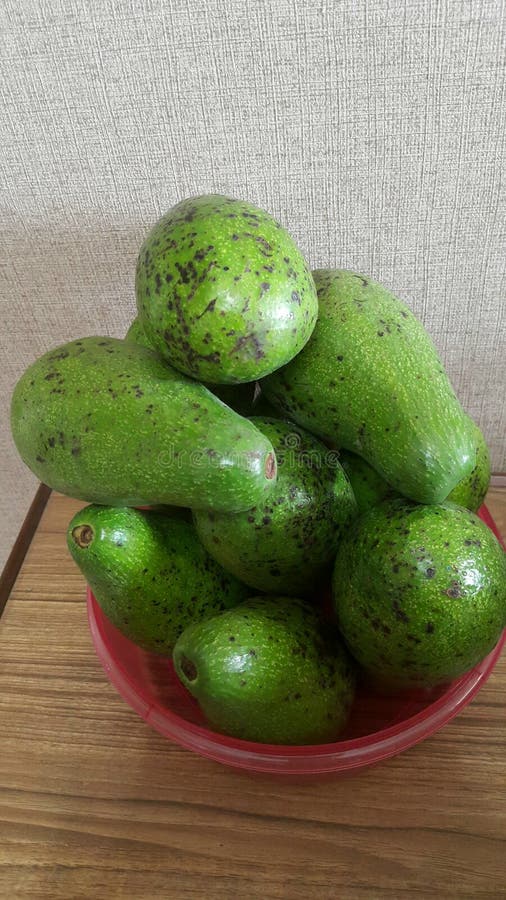 Beautiful Avocado Healthy and Fresh Stock Photo - Image of healt ...