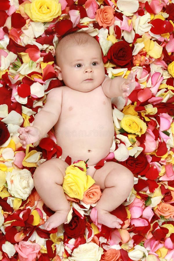 Beautiful Baby Boy in a Rose Plants Stock Photo - Image of newborn ...