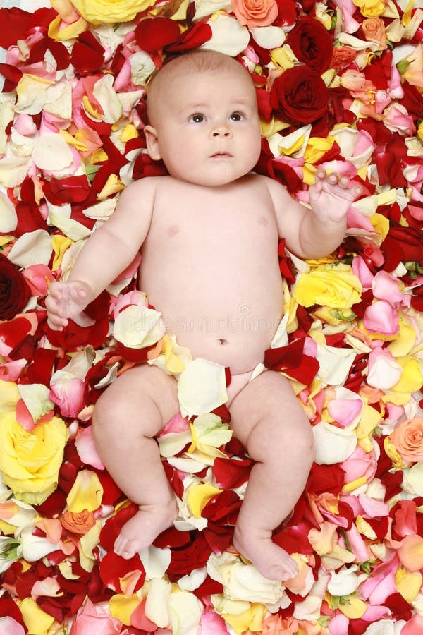 Beautiful Baby Boy in a Rose Plants Stock Image - Image of fragile ...