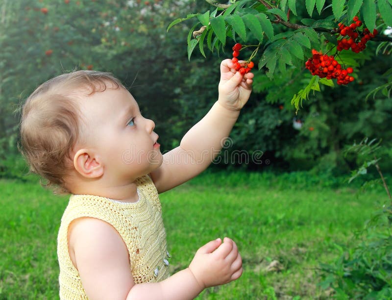 Beautiful Baby Girl Picking Ash Stock Photos - Free & Royalty-Free ...