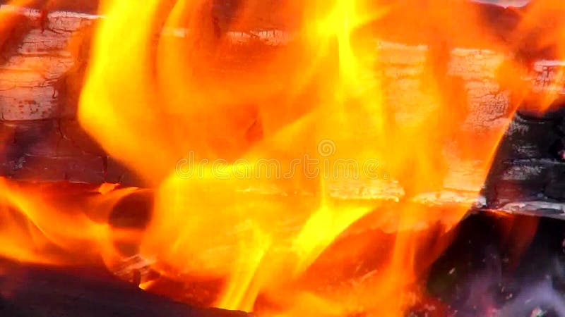 Beautiful Background Fire with Logs Wood Fireplaces Stock Video - Video ...