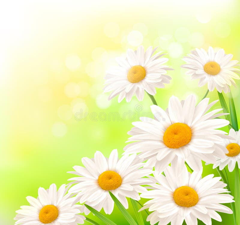 Fresh Mint Leaves on a White Background Stock Vector - Illustration of ...