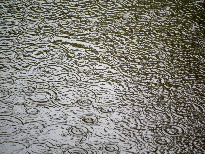 A Beautiful Background Image: in the Dance of the Drops: the Amazon in ...