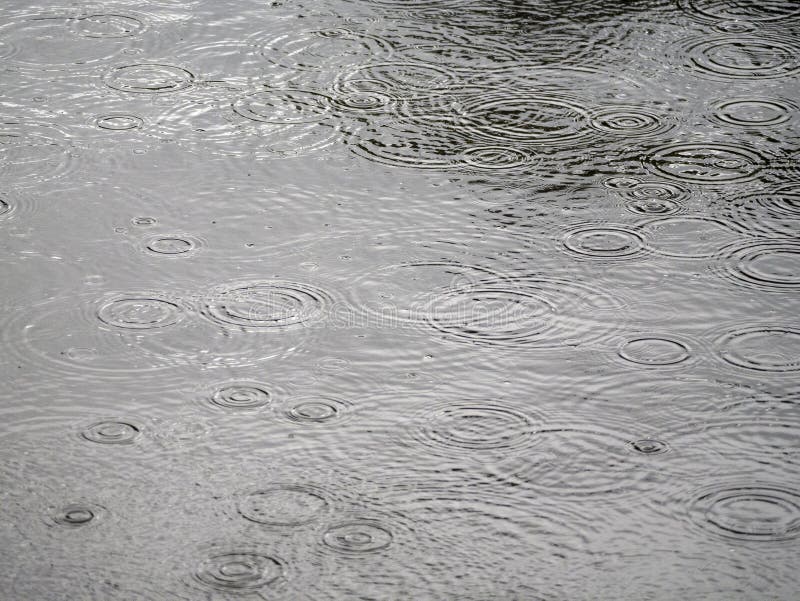 A Beautiful Background Image: in the Dance of the Drops: the Amazon in ...