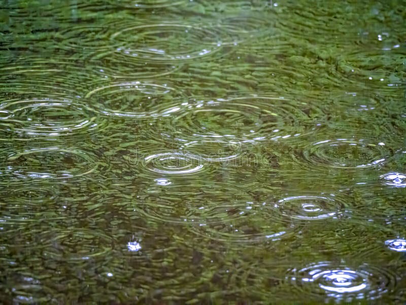 A Beautiful Background Image: in the Dance of the Drops: the Amazon in ...