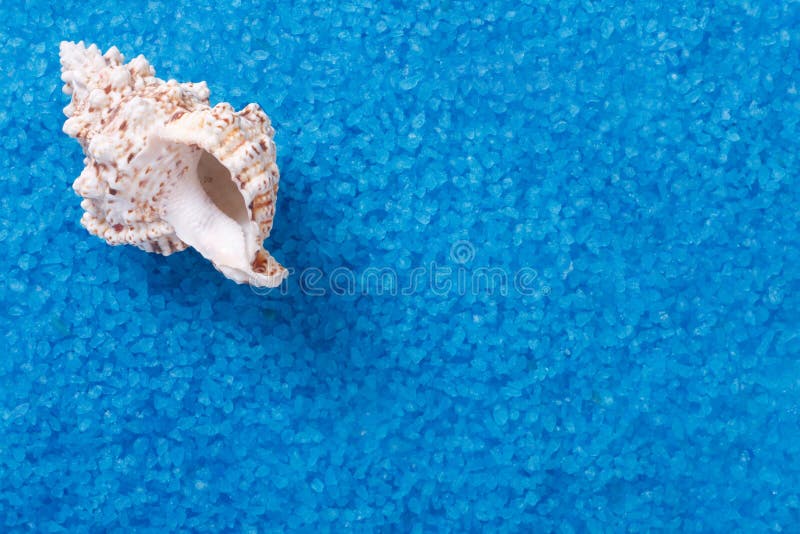 Background of Large Sea Salt with Shell. Stock Photo - Image of object ...