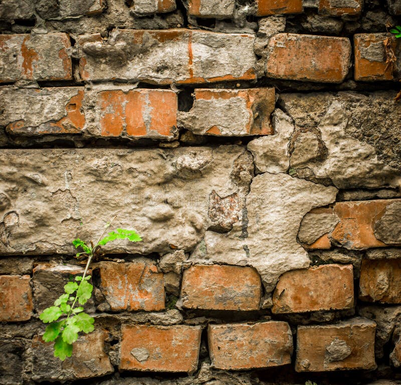 Beautiful Background Made of Old Bricks Stock Image - Image of backdrop ...