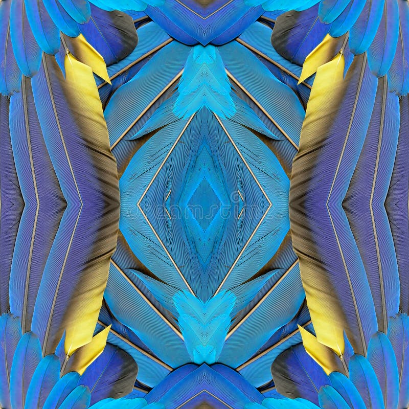 Blue Background Pattern Designed from Blue and Gold Macaw Bird Wings ...