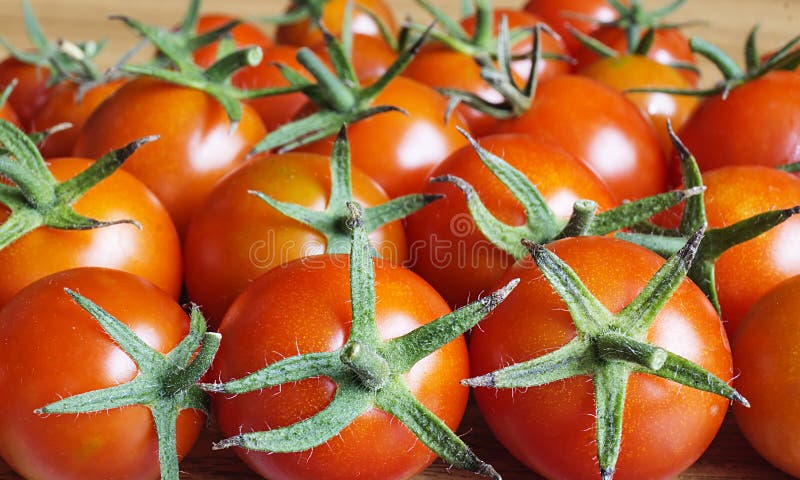 Background from red tomato stock image. Image of green - 100115215
