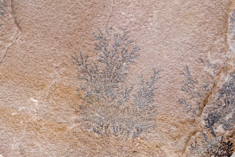 Beautiful Background, Unique Texture of Natural Stone Stock Photo ...