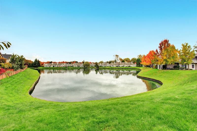 Beautiful Backyard with a View. Stock Photo - Image of property ...