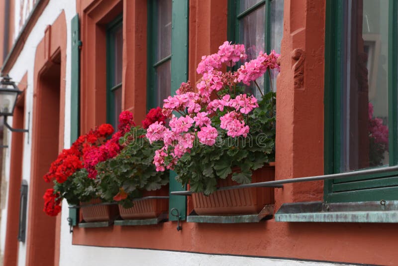 Beautiful Balcony Flowers. Beautiful Balcony Flowers on Windows Home ...