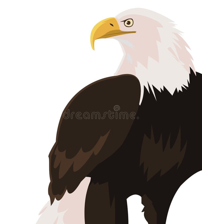 Beautiful Bald Eagle Flying Stock Illustration - Illustration of animal ...