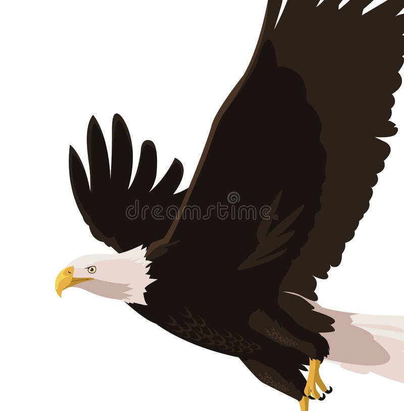 Beautiful Bald Eagle Flying in the Landscape Stock Illustration ...