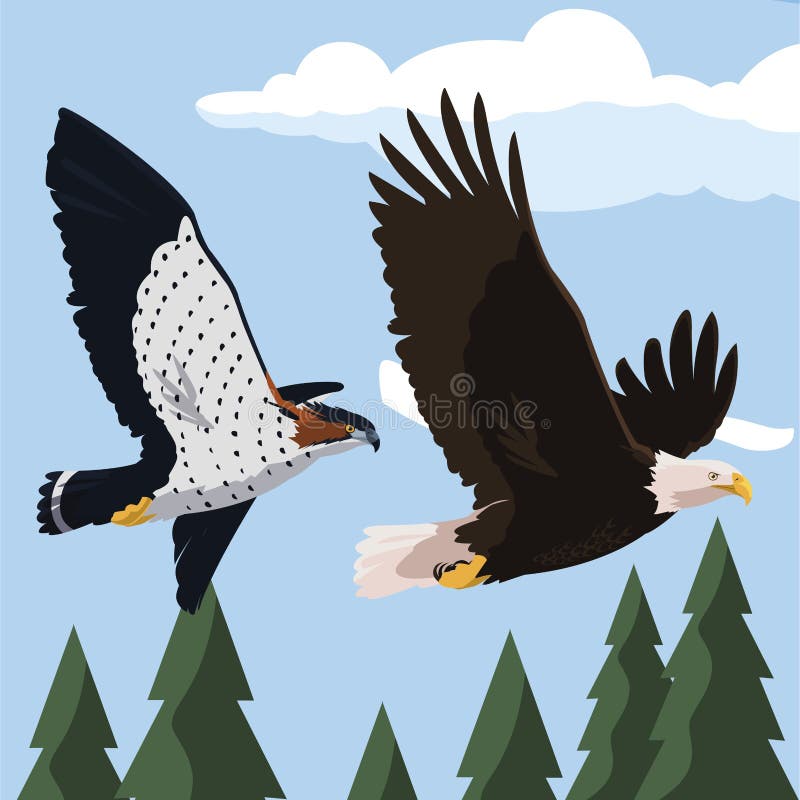 Beautiful Bald Eagle and Hawk Flying in the Landscape Stock ...