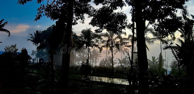 Beautiful bali indonesia stock image. Image of kintamani - 261960521