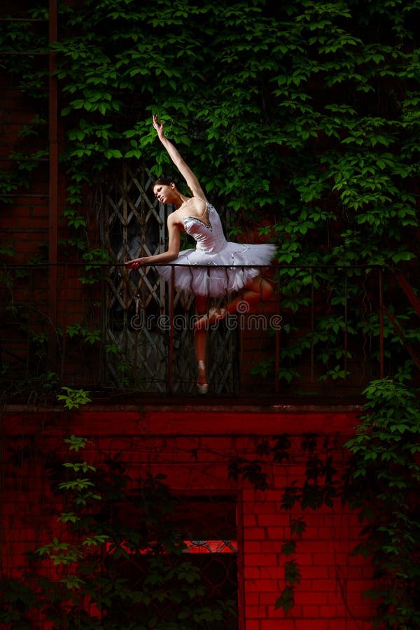Beautiful Ballerina Dancing Ballet Dance Stock Photo - Image of grace ...