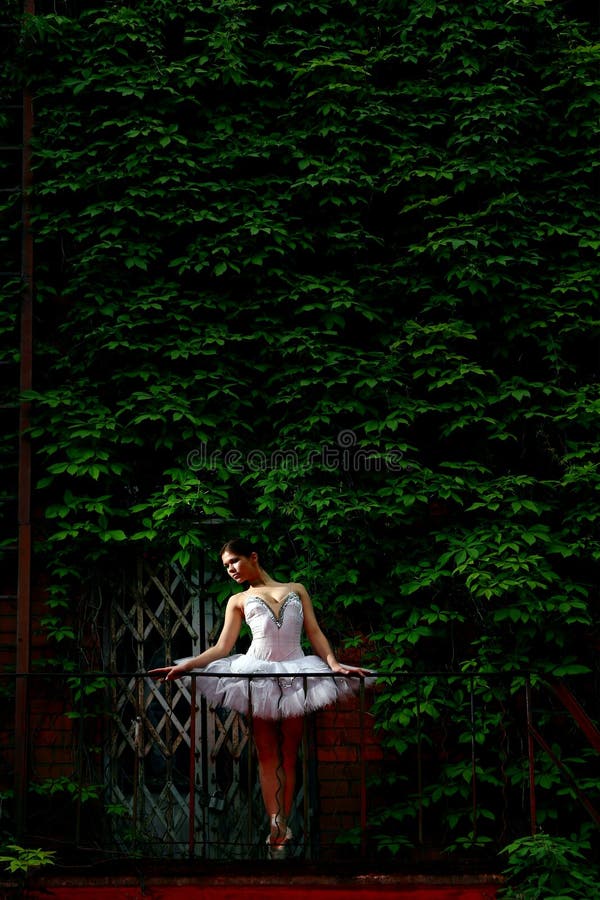 Beautiful Ballerina Dancing Ballet Dance Stock Image - Image of female ...