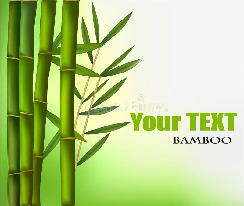 Beautiful Bamboo Border. Vector Stock Vector - Image: 18456504