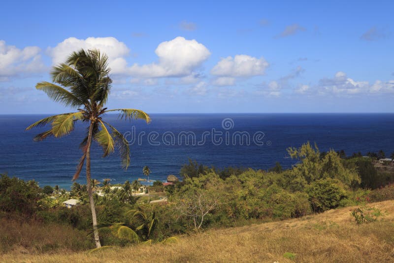 Beautiful Barbados stock image. Image of grass, coastline - 14147255
