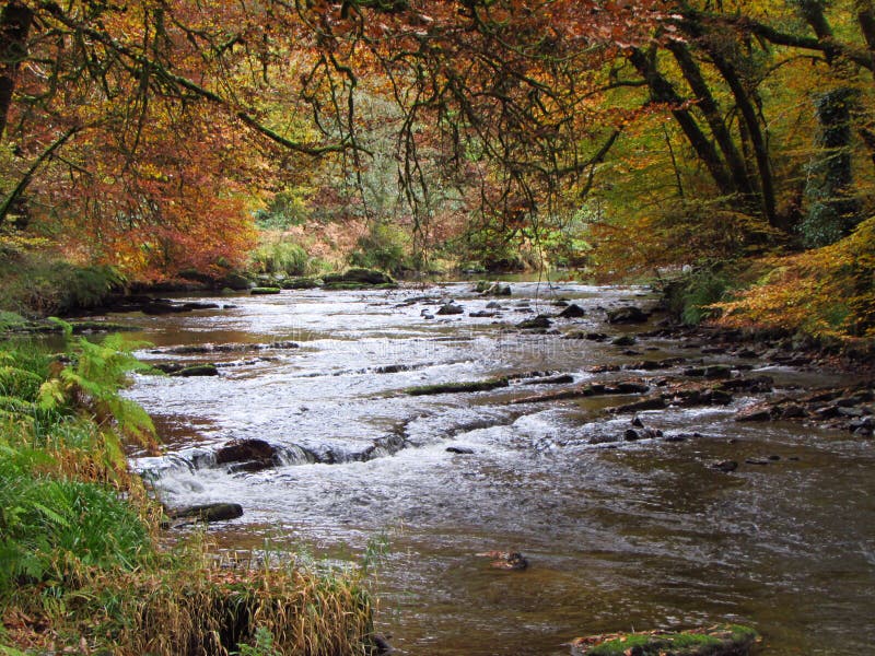 Beautiful Barle stock photo. Image of view, barle, autumn - 79820780