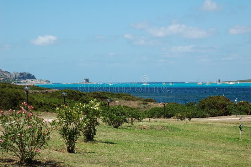 Beautiful Beach with Blue Water Stock Image - Image of holidays ...