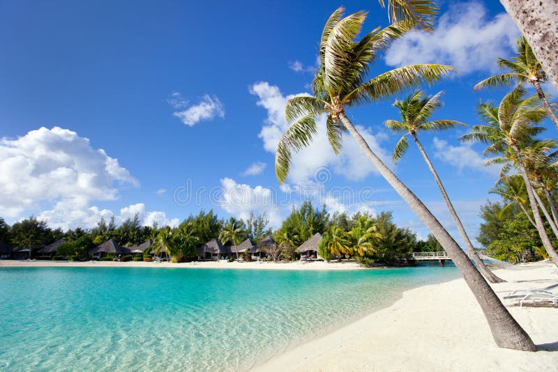 Beautiful Beach on Bora Bora Stock Photo - Image of tourism, paradise ...