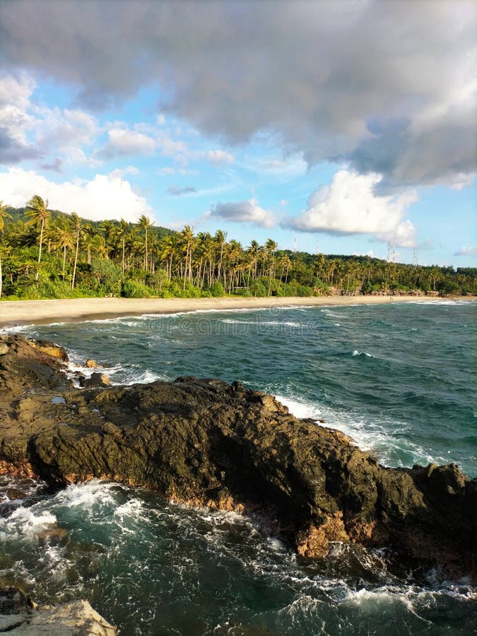 Beautiful Beach with Coconut Tree Coral Stock Image - Image of beach ...