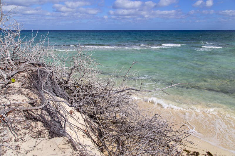 The Beautiful Beach in Cuba. Stock Image - Image of beautiful, cuba ...