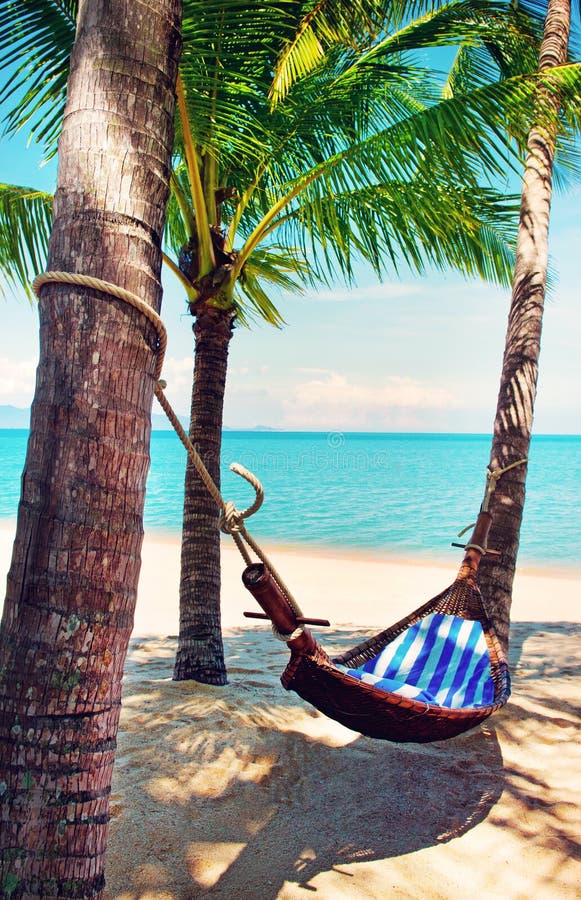 Beautiful Beach. Hammock between Two Palm Trees on the Beach Stock ... Beautiful Beach. Hammock between Two Palm Trees on the Beach Stock ...