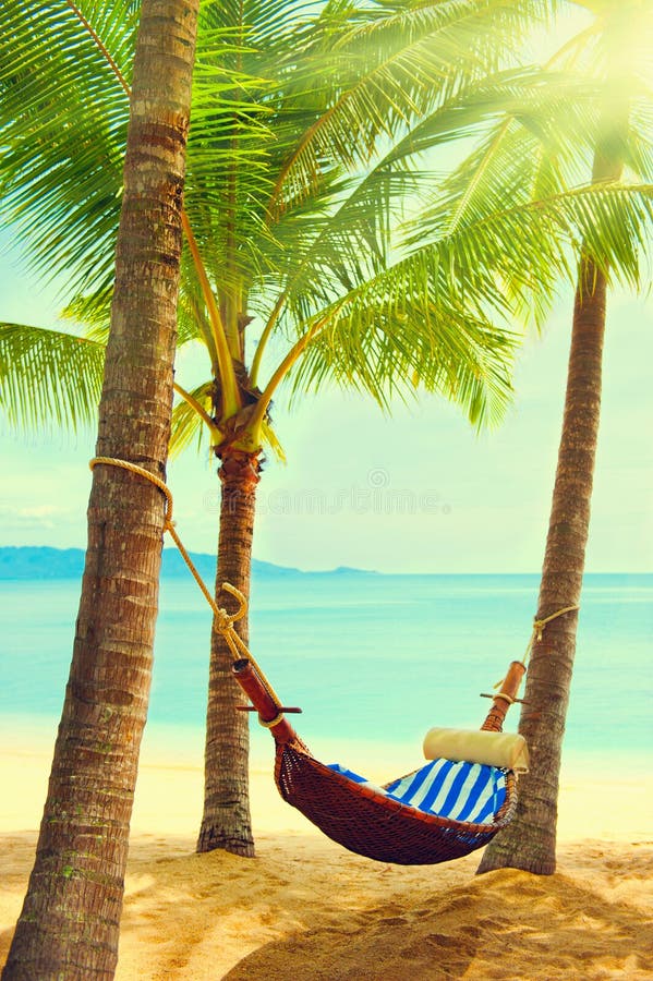 Beautiful Beach. Hammock between Two Palm Trees on the Beach Stock ... Beautiful Beach. Hammock between Two Palm Trees on the Beach Stock ...