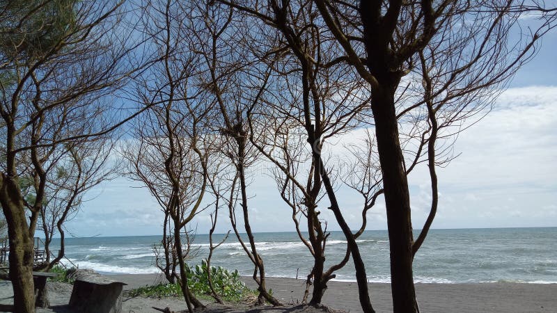 Beautiful Beach of Java Indonesia Stock Photo - Image of java, south ...