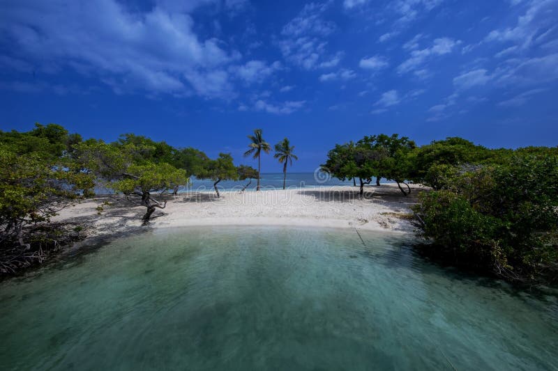 Remote Tropical Beach stock image. Image of clean, water - 352329157