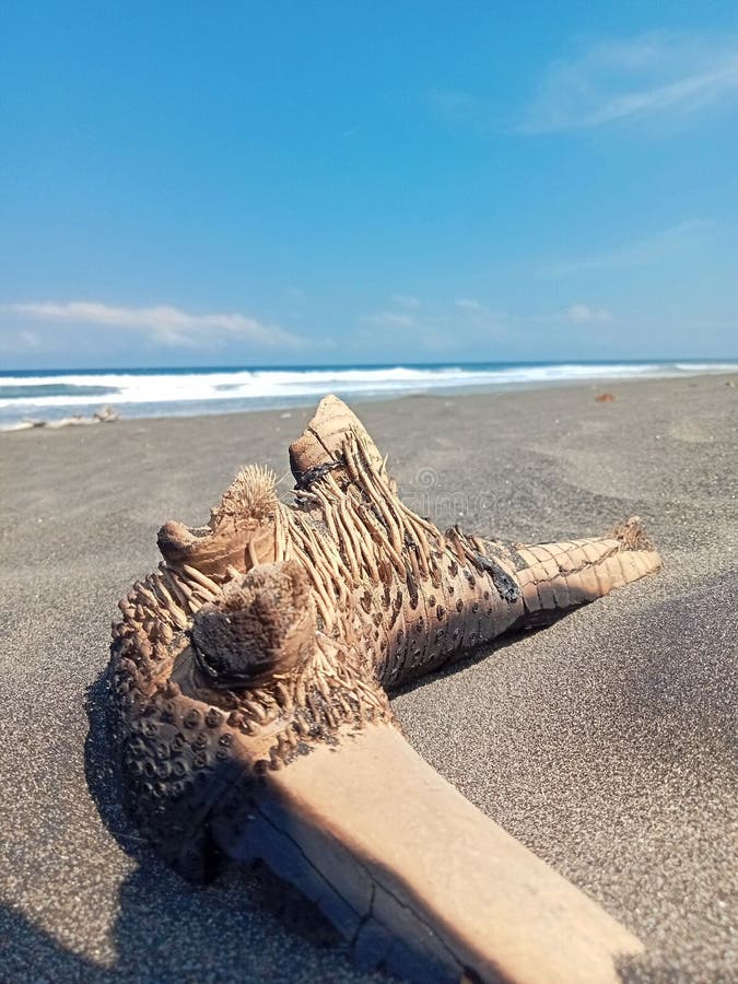 Beautiful Beach Located in the South of the Island of Java, Indonesia ...