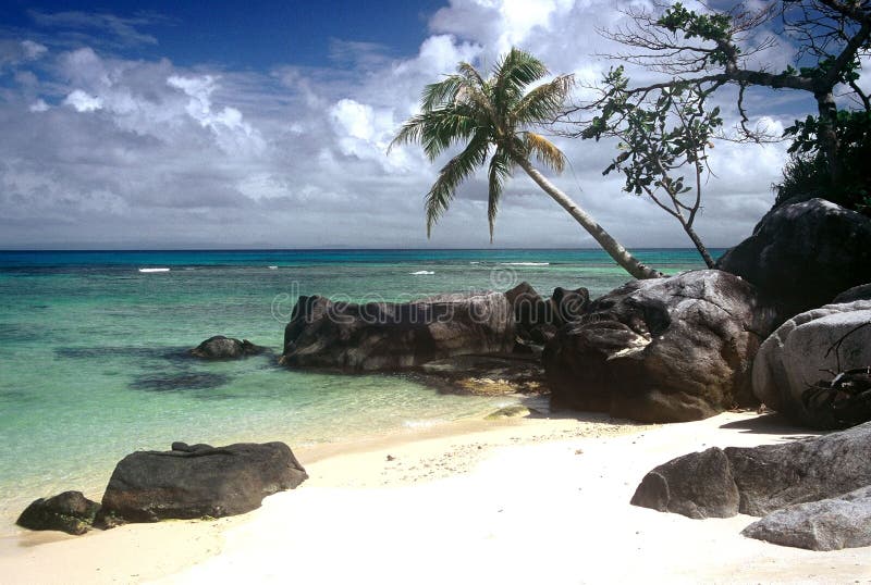 Beautiful Beach,Madagascar stock photo. Image of coconut - 8496096
