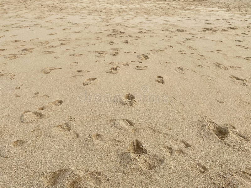 Beautiful Beach Sand Background with Many Human Footprints. Stock Image ...