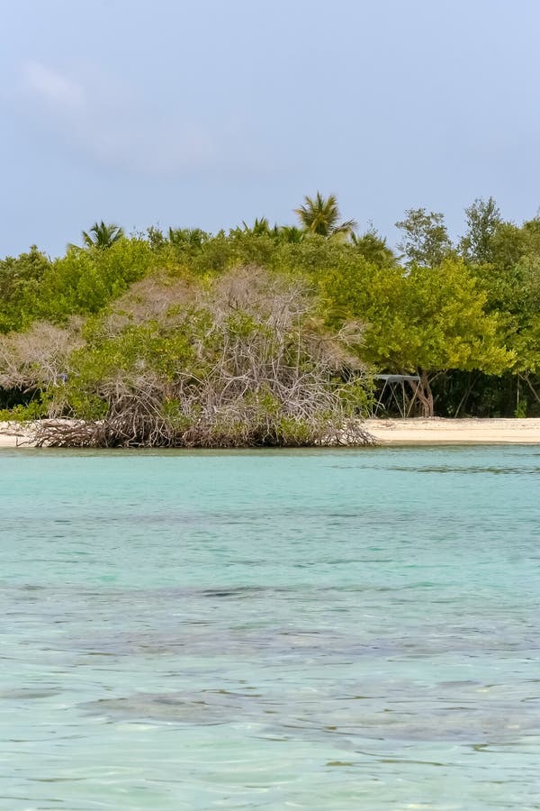 Beautiful Beach and Sea in Venezuela Stock Image - Image of summer ...