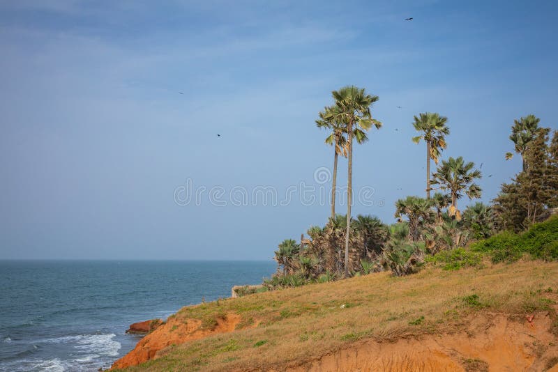 Beautiful Beach in Serrekunda, Gambia Stock Image - Image of serrekunda ...