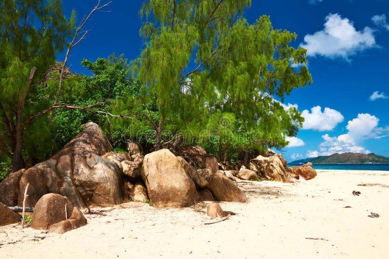 Beautiful Beach at Seychelles Stock Photo - Image of nature, travel ...