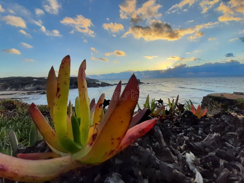 Beautiful Beach with Sunset and Mountain Stock Photo - Image of ...