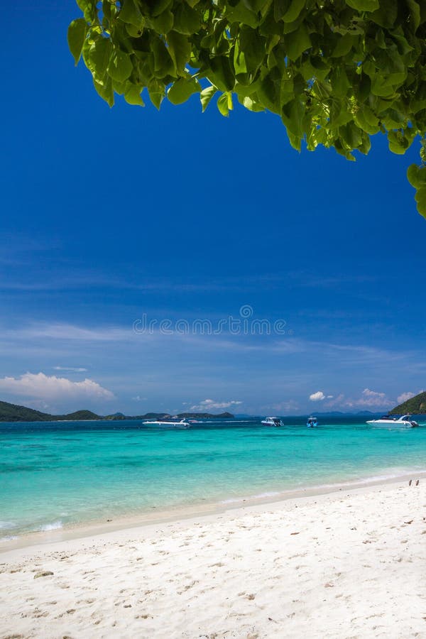 Beautiful Beach Under the Tree Stock Image - Image of blue, clear: 27019753