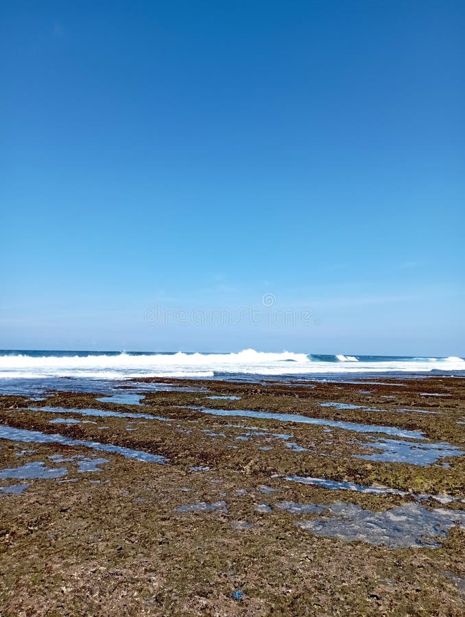 Beautiful Beach with Very Blue Sky Very Relaxing Stock Image - Image of ...