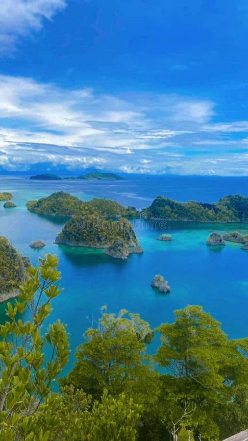 Beautiful Beach View with Blue Water and Various Trees Stock Photo ...