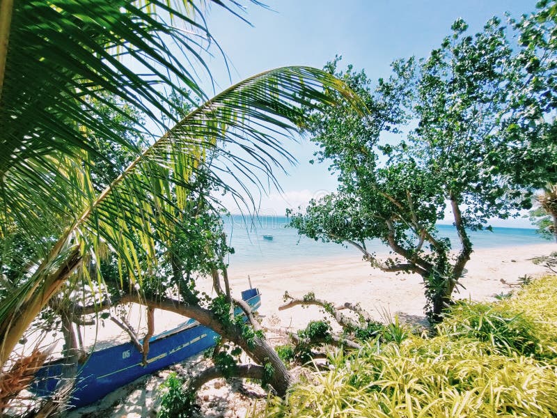 Beautiful Beaches on the Island of Timor Stock Photo - Image of timor ...