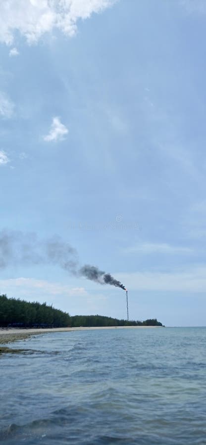 A Beautiful Beachside Setting Stock Image - Image of tree, wave: 262155979